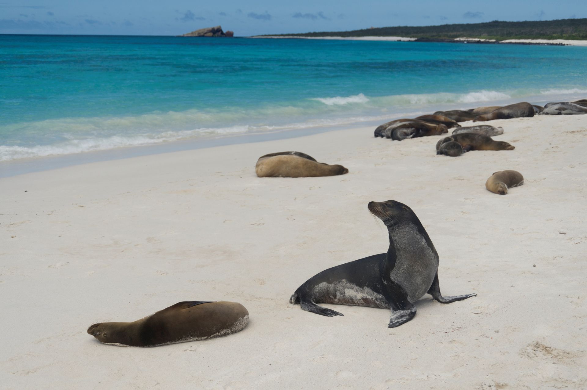 Isla Española, Galapagos Islands | Cruiseget.com